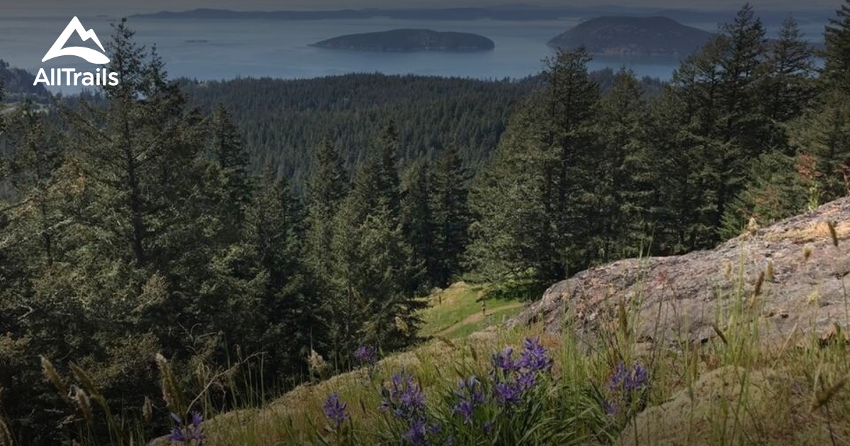 Best Trails in Mount Erie Park - Washington | AllTrails