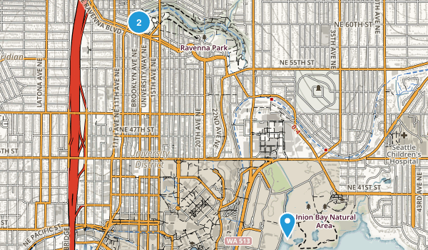 Best Trails in Ravenna Park - Washington | AllTrails