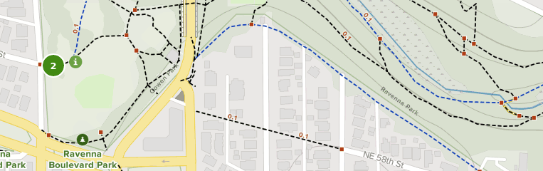 Best 10 Trails in Ravenna Park | AllTrails