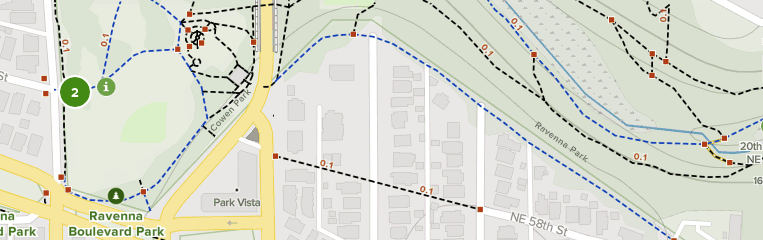 Best Hikes and Trails in Ravenna Park | AllTrails