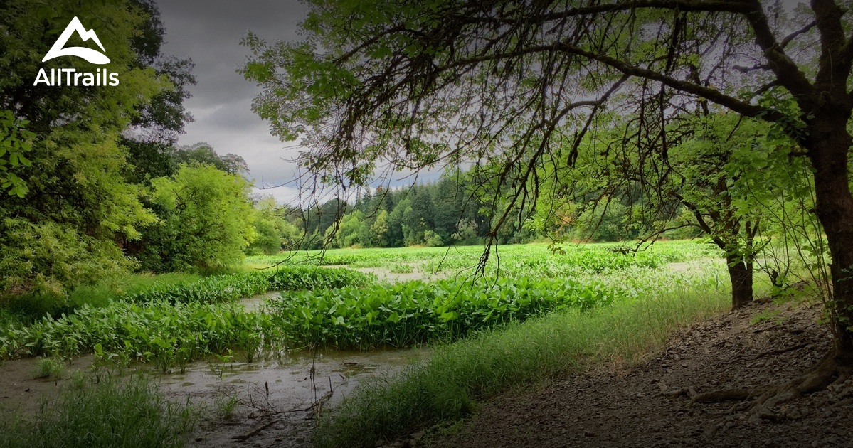 Best hikes and trails in Ridgefield National Wildlife Refuge | AllTrails