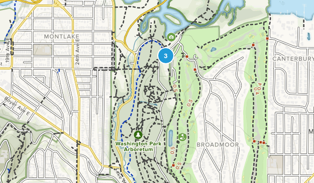 Best Trails in Washington Park Arboretum - Washington | AllTrails