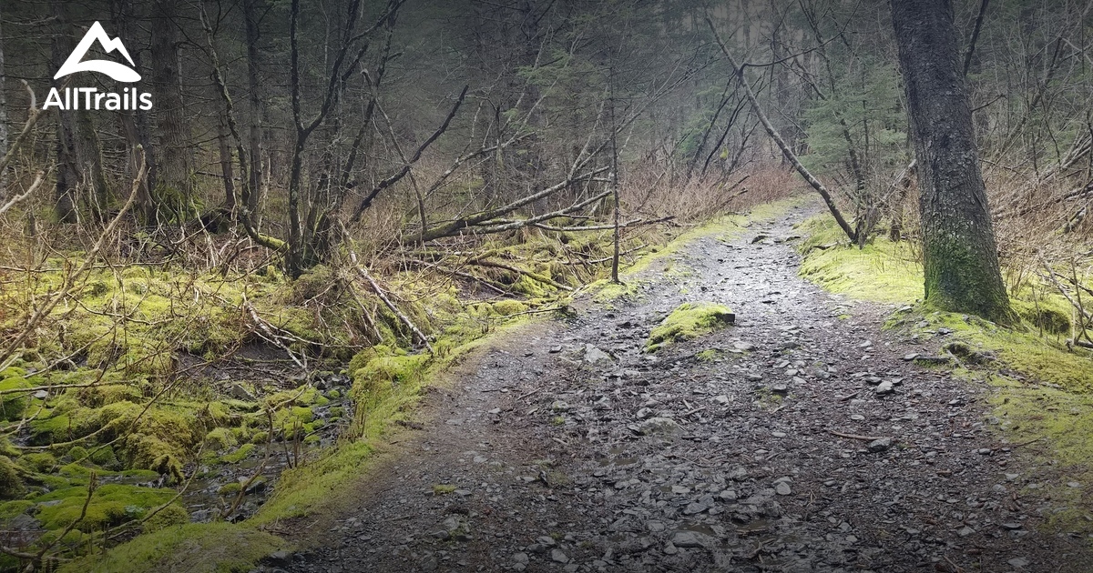 Best hikes and trails in Two Lakes Park | AllTrails