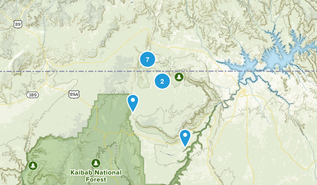 Best Trails in Vermilion Cliffs National Monument - Arizona | AllTrails