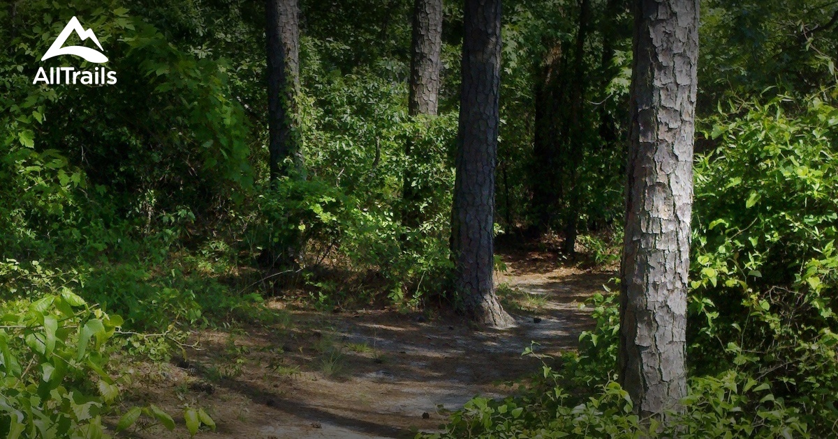 Best hikes and trails in Great Bridge Lock Park | AllTrails