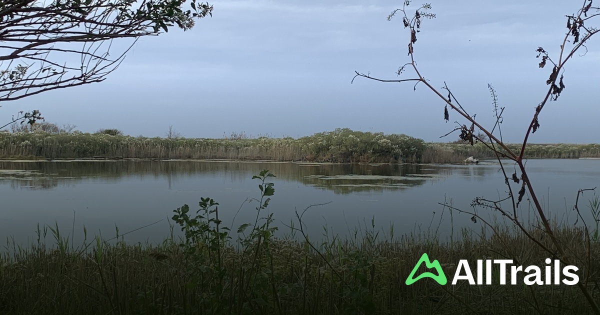 Best hikes and trails in Inlet Point County Park | AllTrails