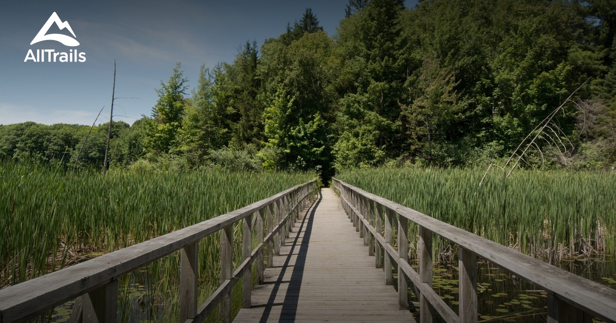 10 Best hikes and trails in Awenda Provincial Park | AllTrails