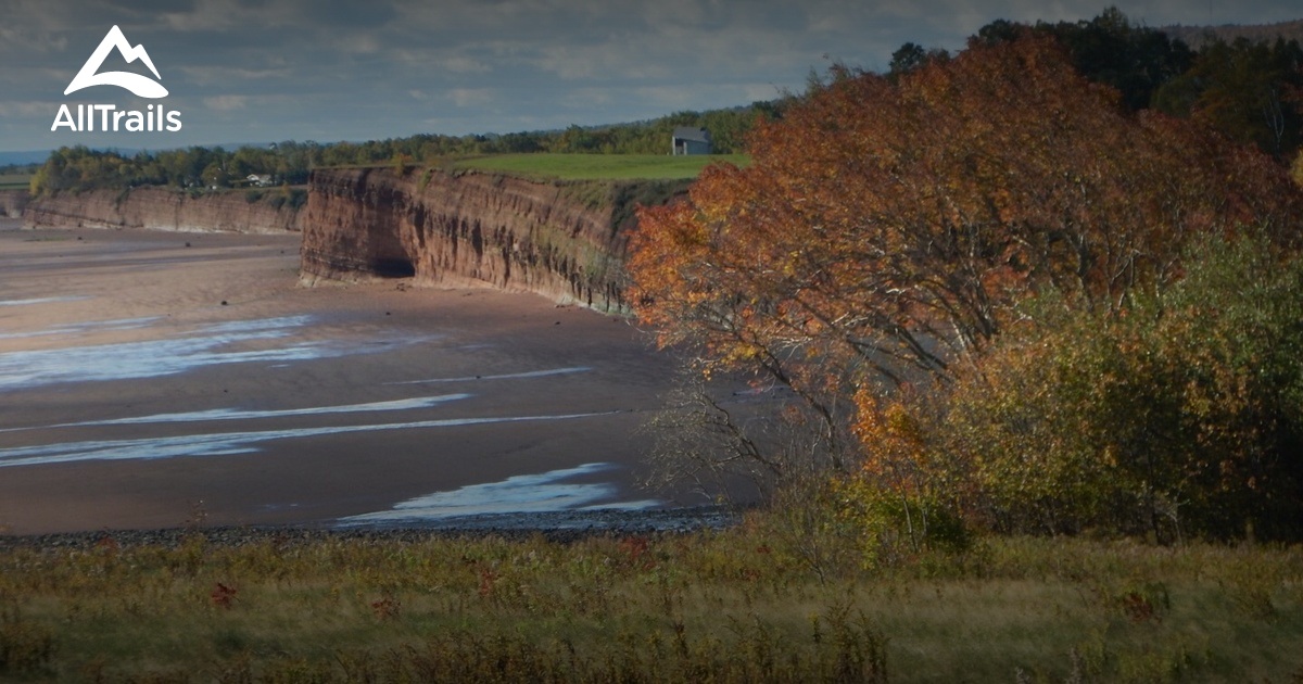 Die Besten Strandspaziergänge in Blomidon Provincial Park | AllTrails