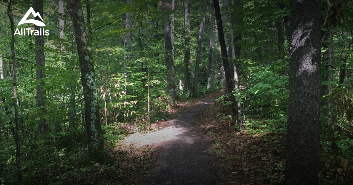 Fitzroy Provincial Park: de beste routes om te wandelen | AllTrails