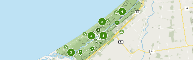 The Pinery Provincial Park: as 10 melhores trilhas | AllTrails