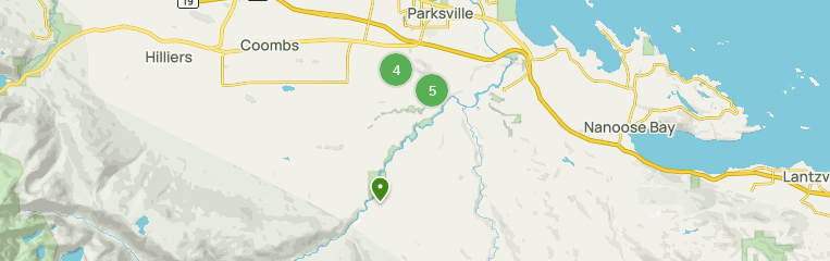 Best Hikes and Trails in Englishman River Falls Provincial Park | AllTrails