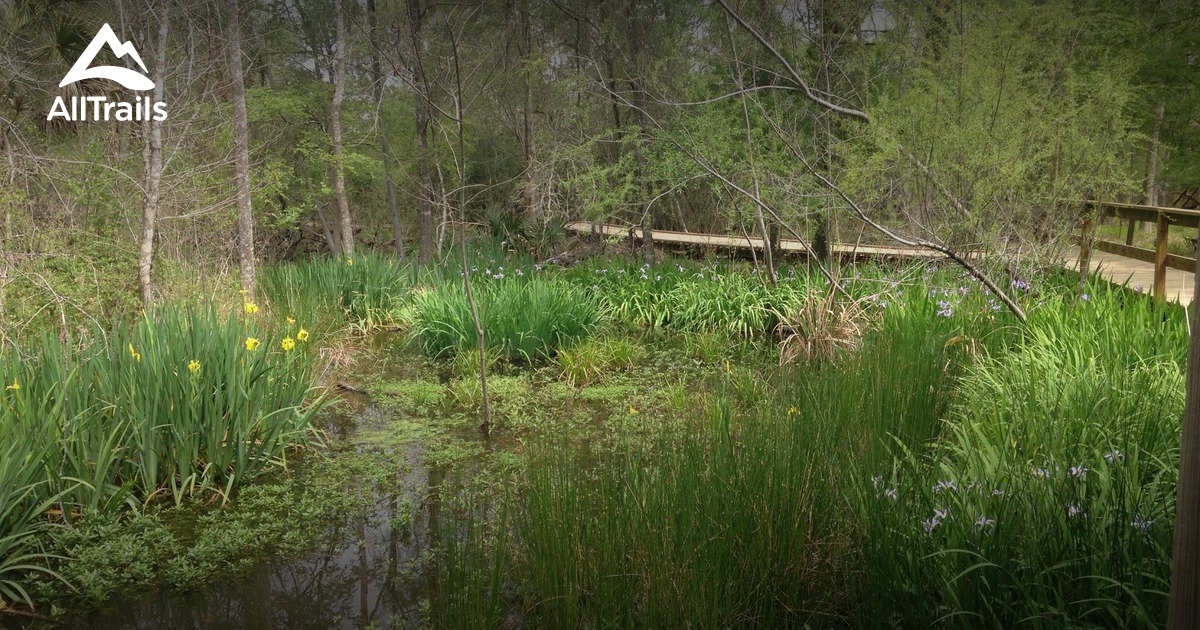 Best hikes and trails in Armand Bayou Nature Center | AllTrails