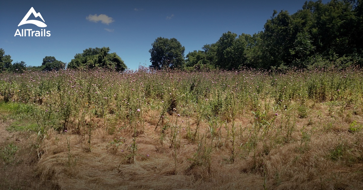 Best hikes and trails in Hidden Valley Park | AllTrails