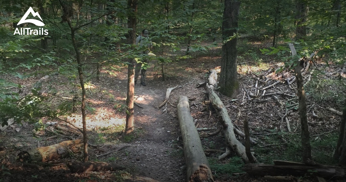 Best Trails in Hochatown State Park - Oklahoma | AllTrails