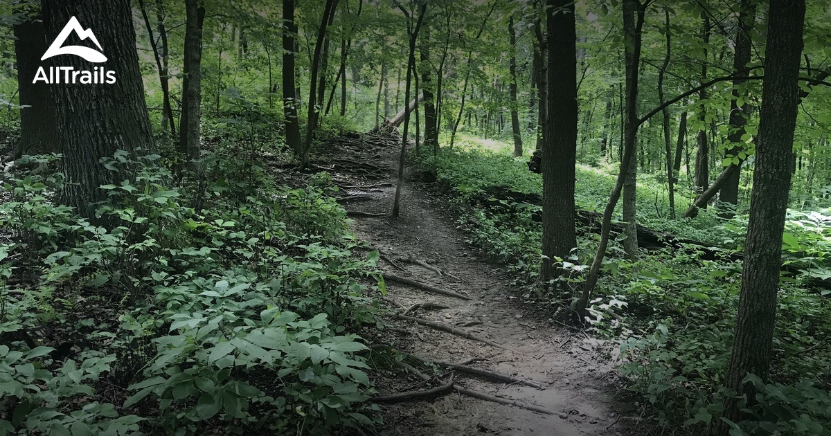 Best hikes and trails in Maple Woods Nature Preserve | AllTrails
