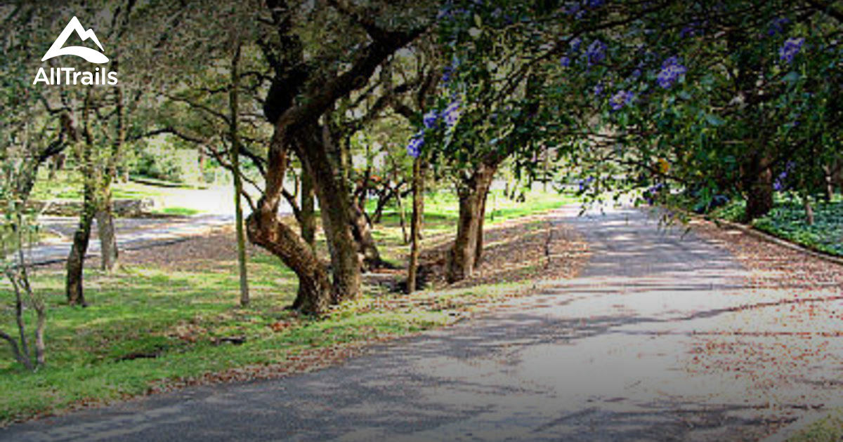 Best Trails in Olmos Basin Park - Texas | AllTrails