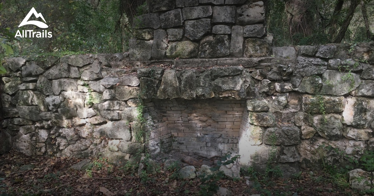 Best forest trails in Olmos Basin Park | AllTrails