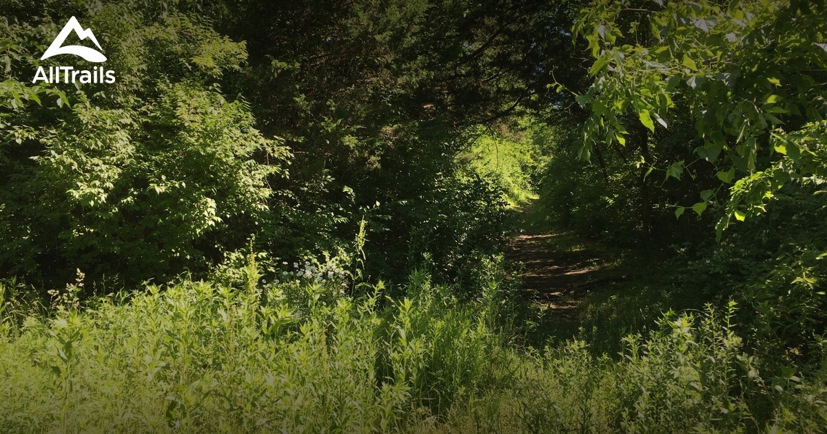 Best hikes and trails in Perry Park | AllTrails