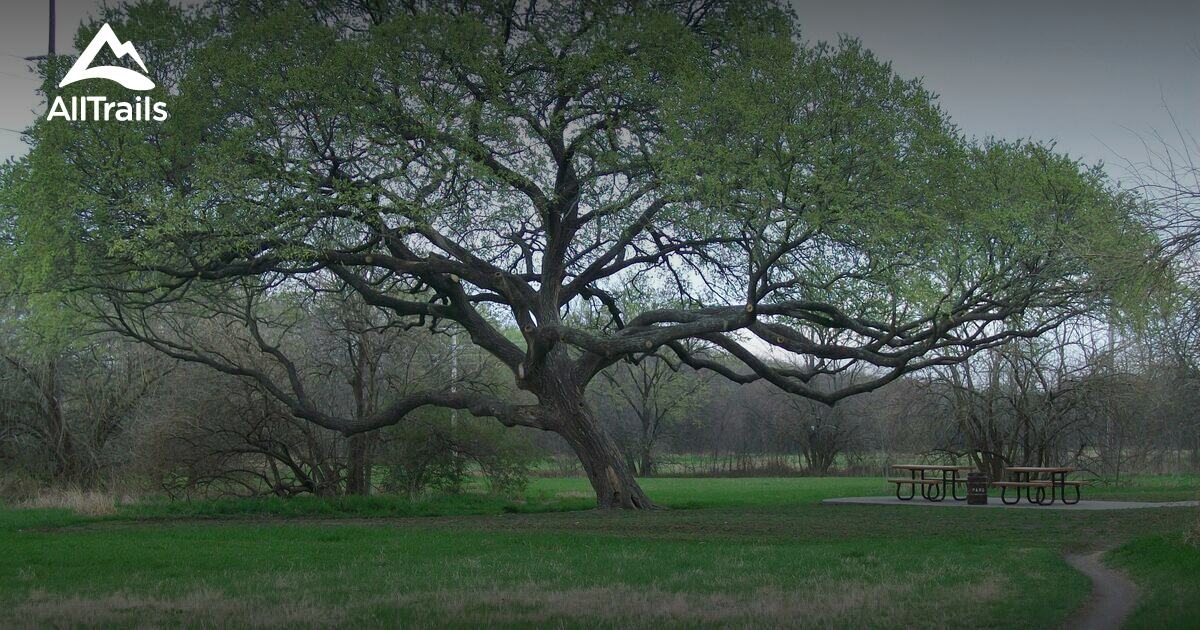 Best hikes and trails in Rowlett Creek Preserve | AllTrails