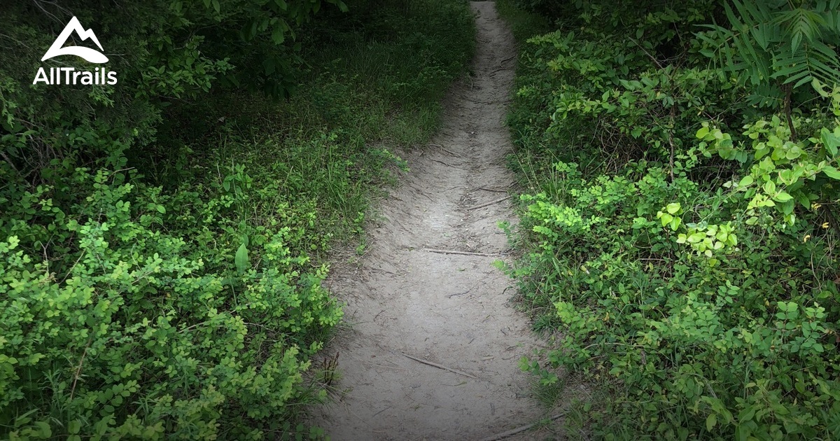 Best hikes and trails in Spring Creek Forest Preserve | AllTrails