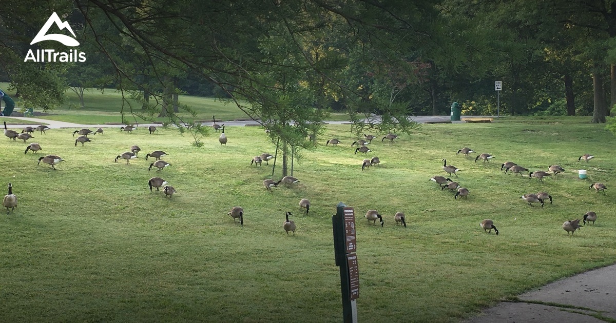 Best hikes and trails in Suson County Park | AllTrails