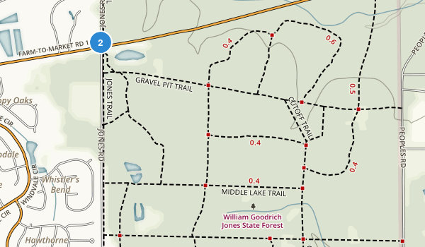 Best Trails in W G Jones State Forest | AllTrails.com