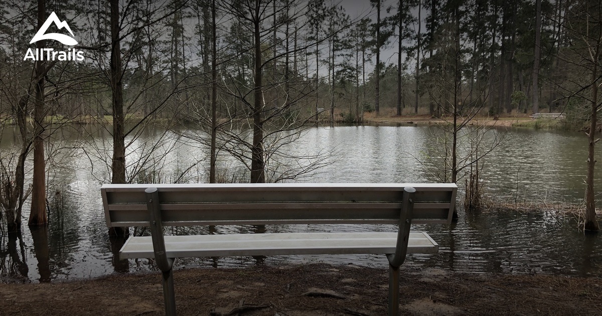 Best Trails in W G Jones State Forest - Texas | AllTrails