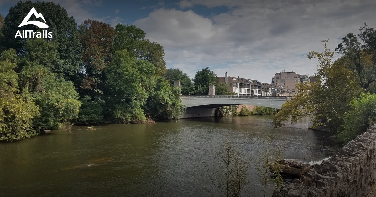 Best hikes and trails in Bringhurst Woods Park | AllTrails