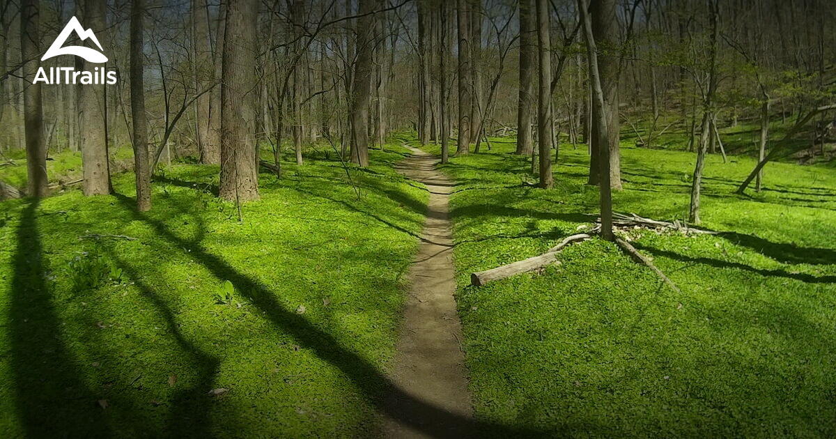 Best trail running trails in Brookside Botanical Gardens | AllTrails