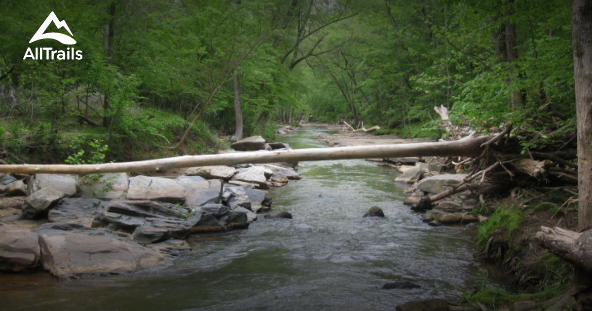 Best Trails in Croft State Park - South Carolina | AllTrails