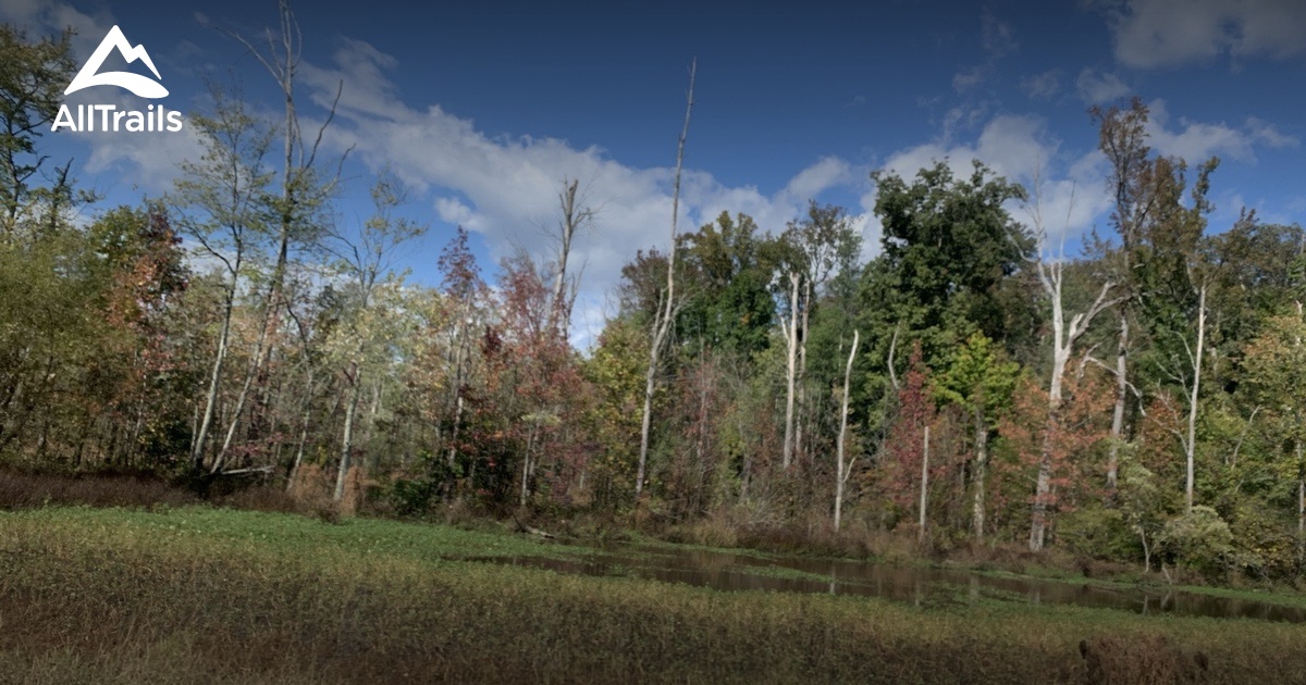 Best Hikes and Trails in Cub Run Stream Valley Park | AllTrails