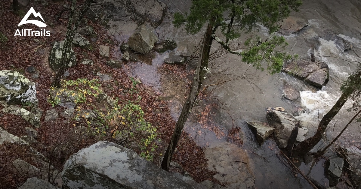 Best Trails in Duke Forest Korstian Division - North Carolina | AllTrails