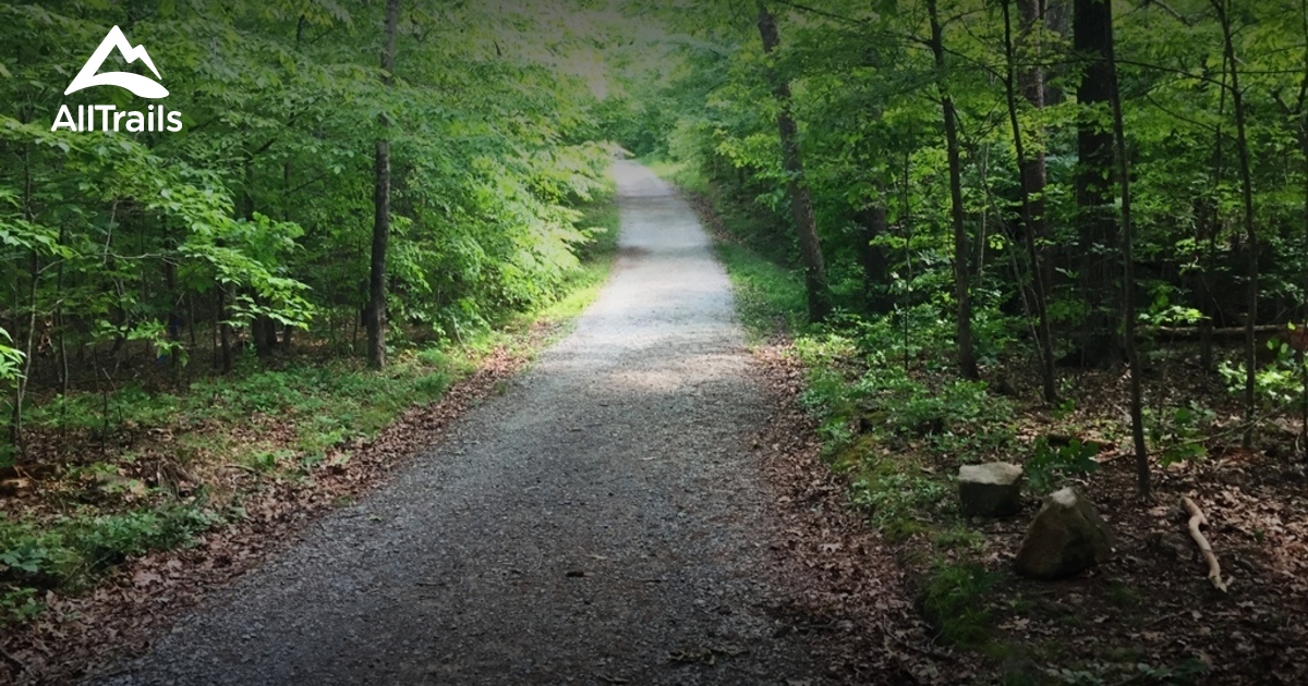 Best Trails in Duke Forest Korstian Division - North Carolina | AllTrails