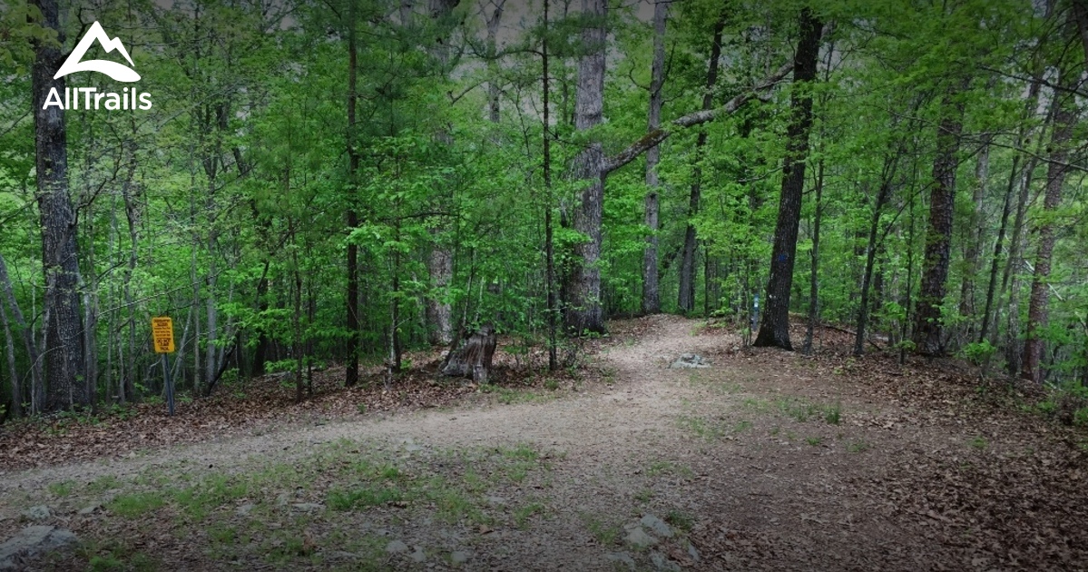 Best Trails in Duke Forest Korstian Division - North Carolina | AllTrails