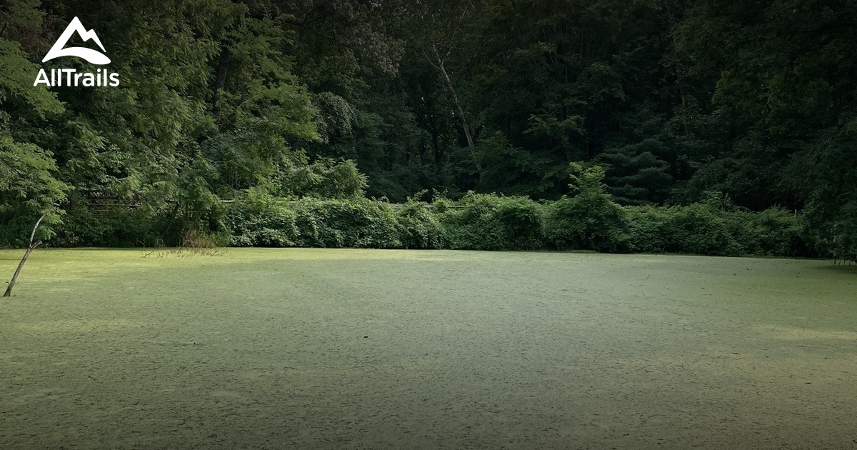 Best hikes and trails in Hidden Pond Park | AllTrails