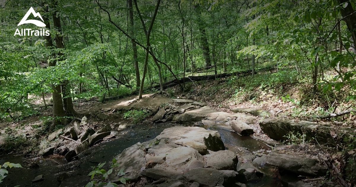 Best hikes and trails in Hobby Park | AllTrails