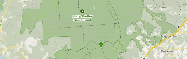 Best Hikes and Trails in Holly Shelter Game Land Sp | AllTrails