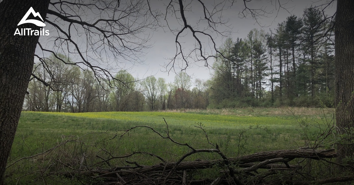 Best hikes and trails in Hugg-Thomas Wildlife Mgmt Area | AllTrails