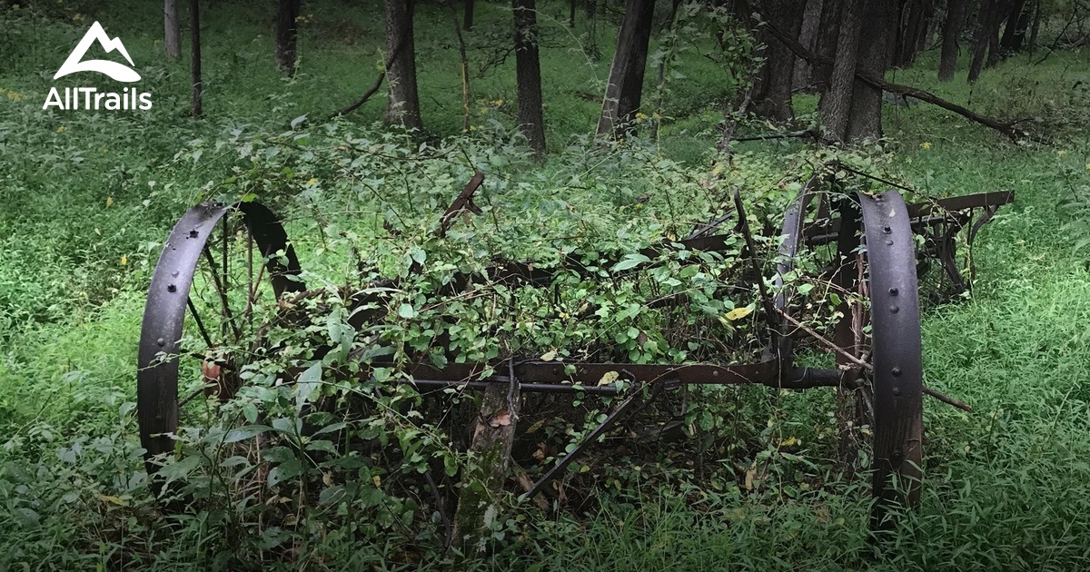 Los mejores senderos para perros con correa en James S Long Regional ...