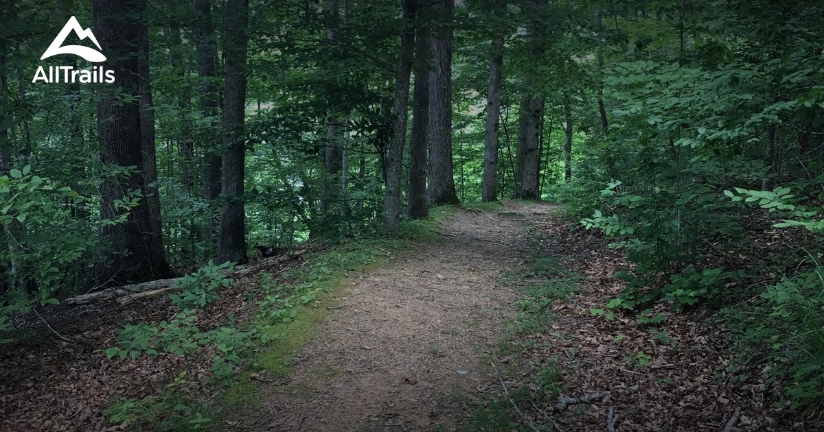 Best Trails in Jenny Wiley State Resort Park - Kentucky | AllTrails