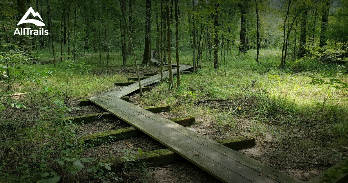 Best easy trails in John F Kennedy Park | AllTrails