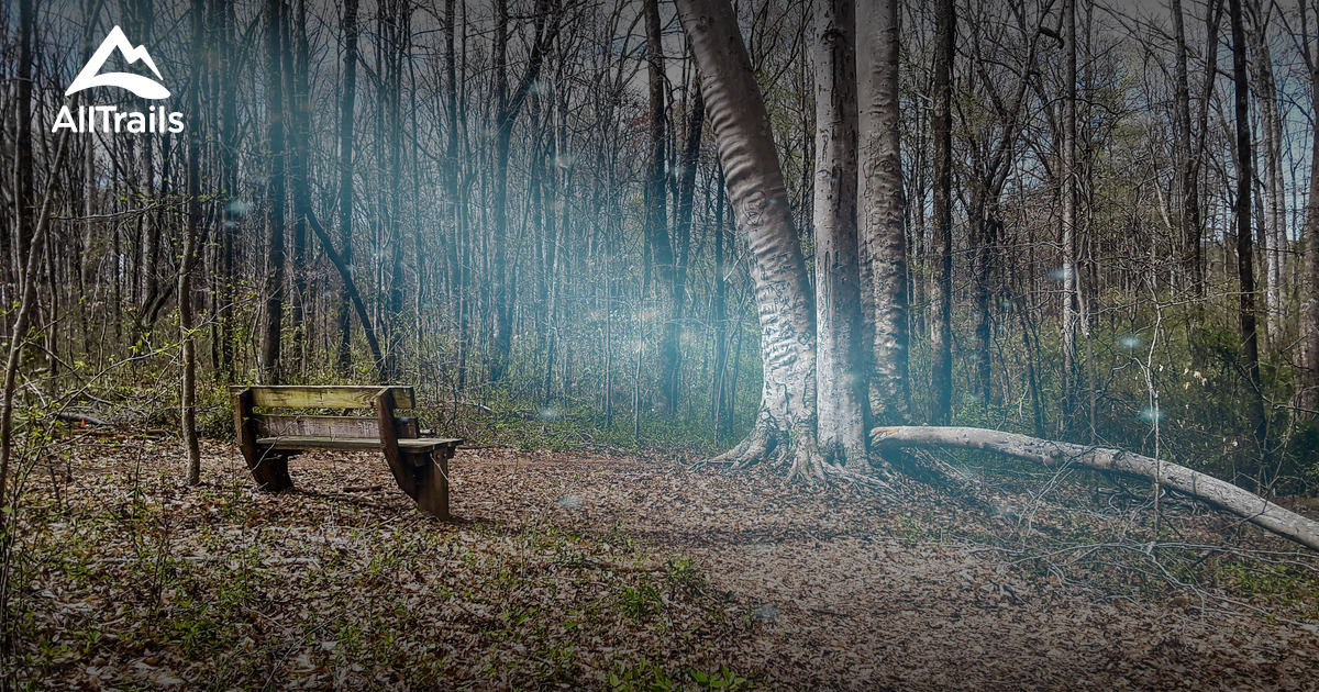 Best hikes and trails in North Mecklenburg Park | AllTrails