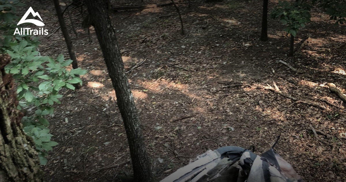 Best hikes and trails in Oak Ridge Conservation Park | AllTrails