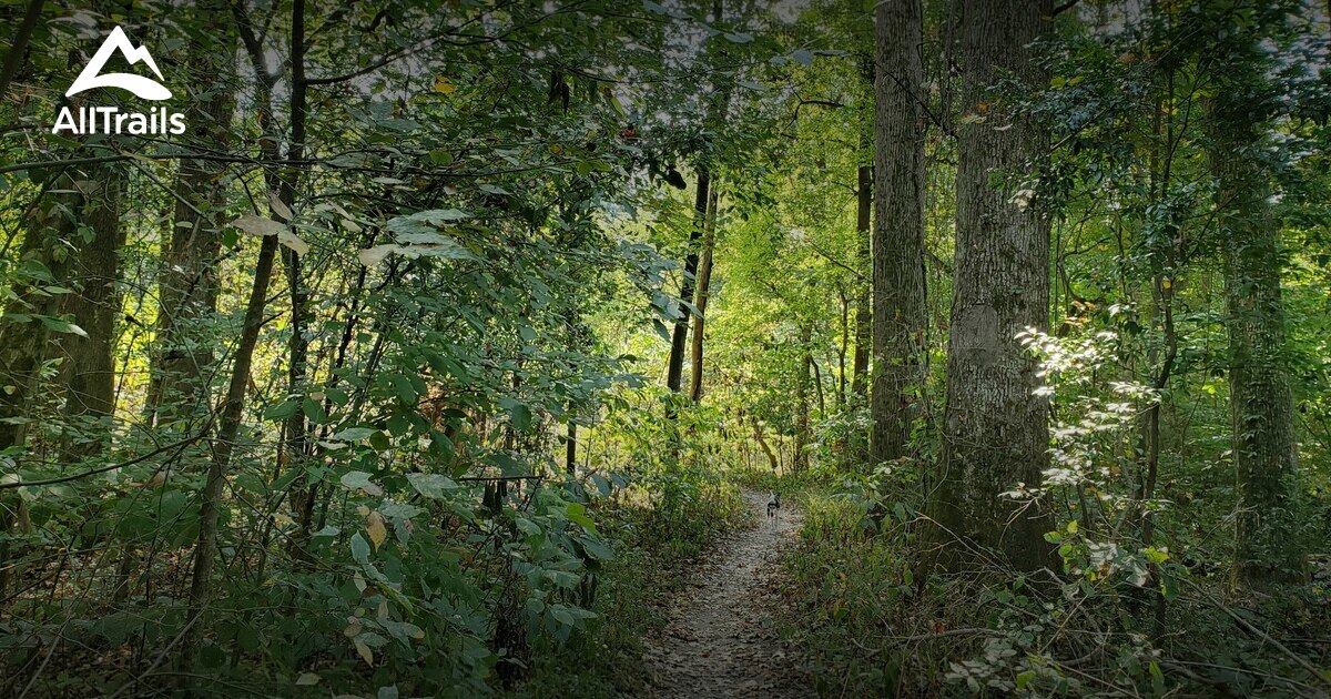 Best hikes and trails in Overton Park | AllTrails