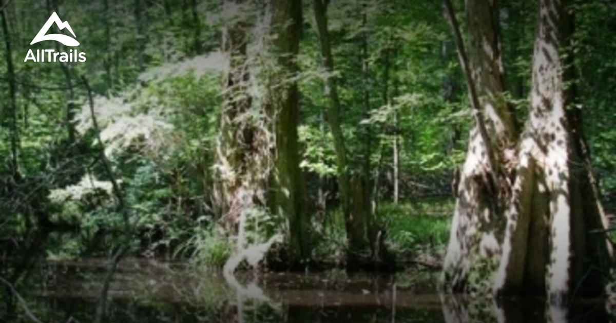 Best Trails in Pocomoke State Forest - Maryland | AllTrails
