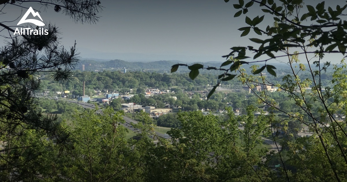 Best forest trails in Sharps Ridge Memorial Park | AllTrails