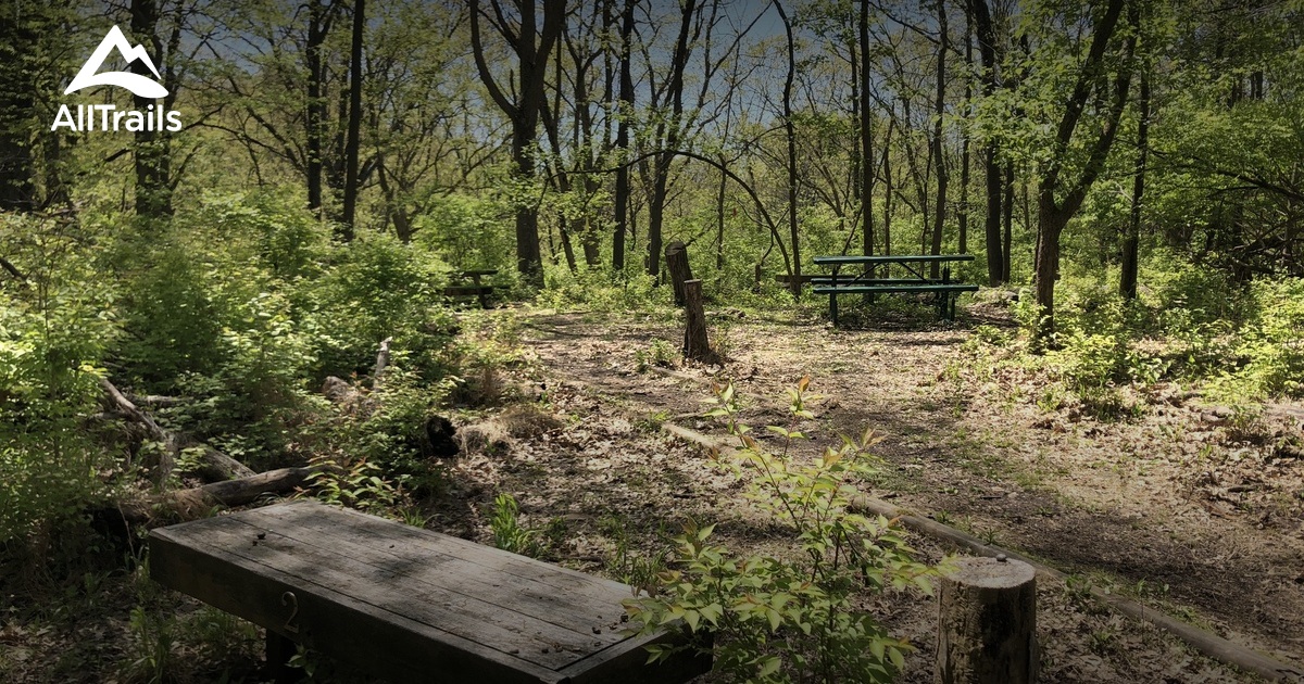 Best hikes and trails in Tower Park | AllTrails