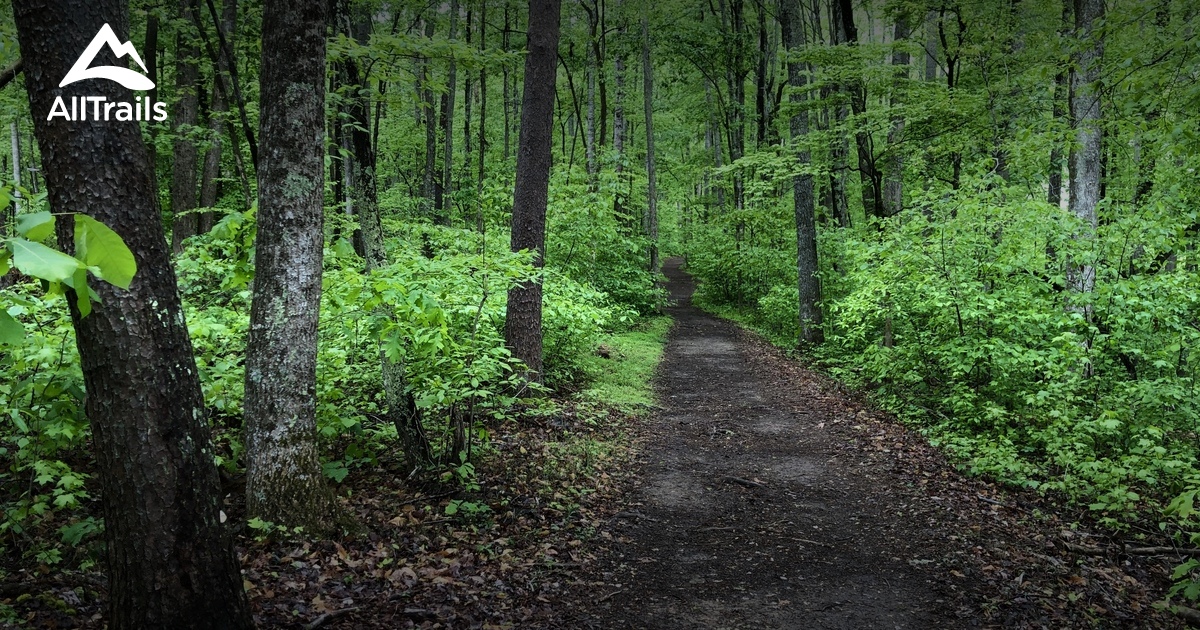 Best hikes and trails in Triad Park | AllTrails