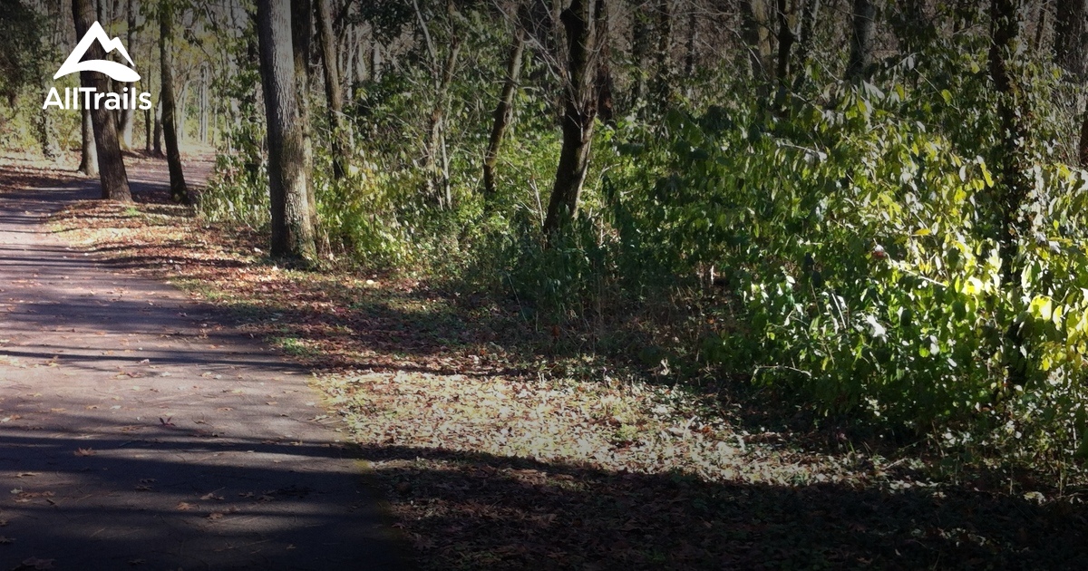 Best hikes and trails in Tyson Park | AllTrails
