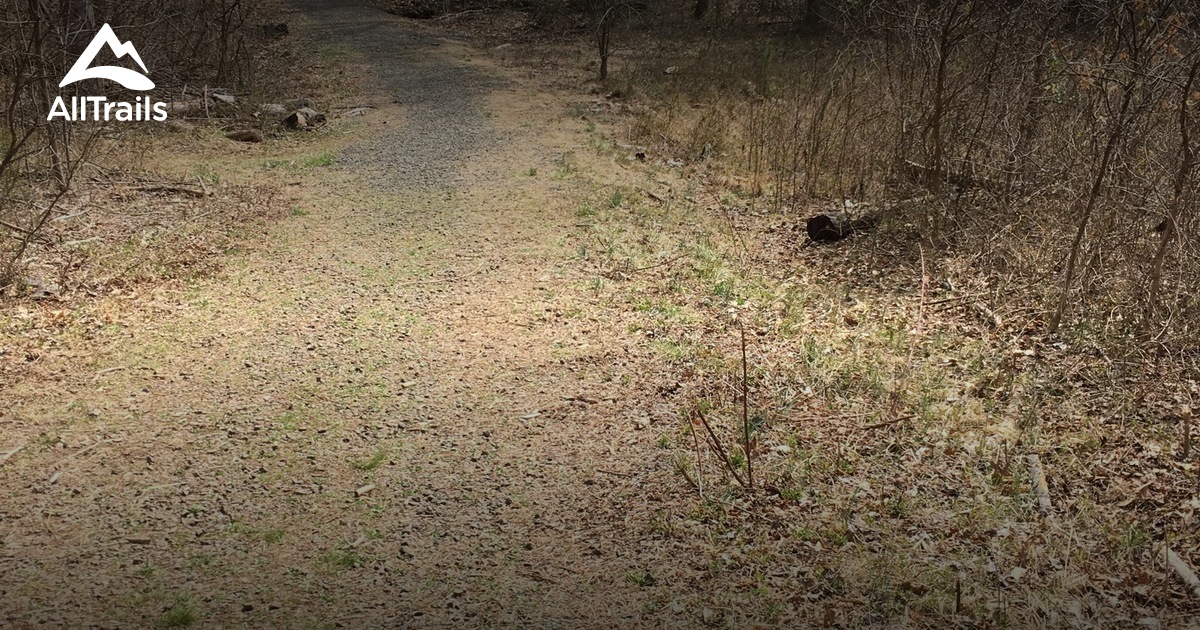 Best hikes and trails in Whitney State Forest | AllTrails